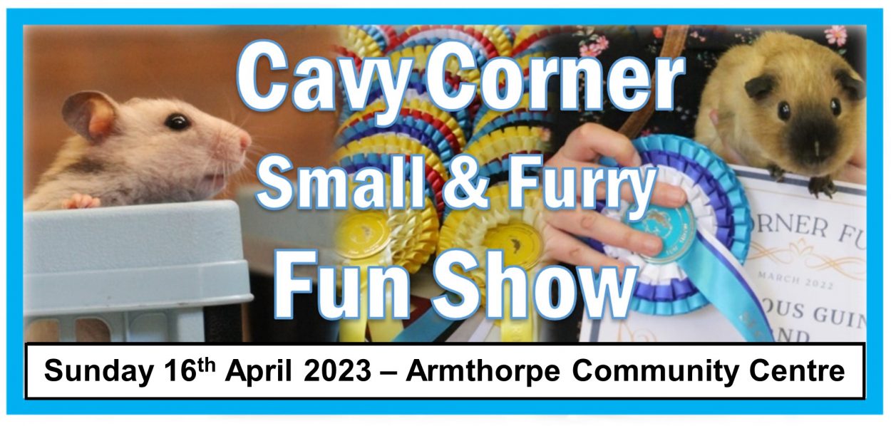 Cavy Corner – Guinea Pig Sanctuary