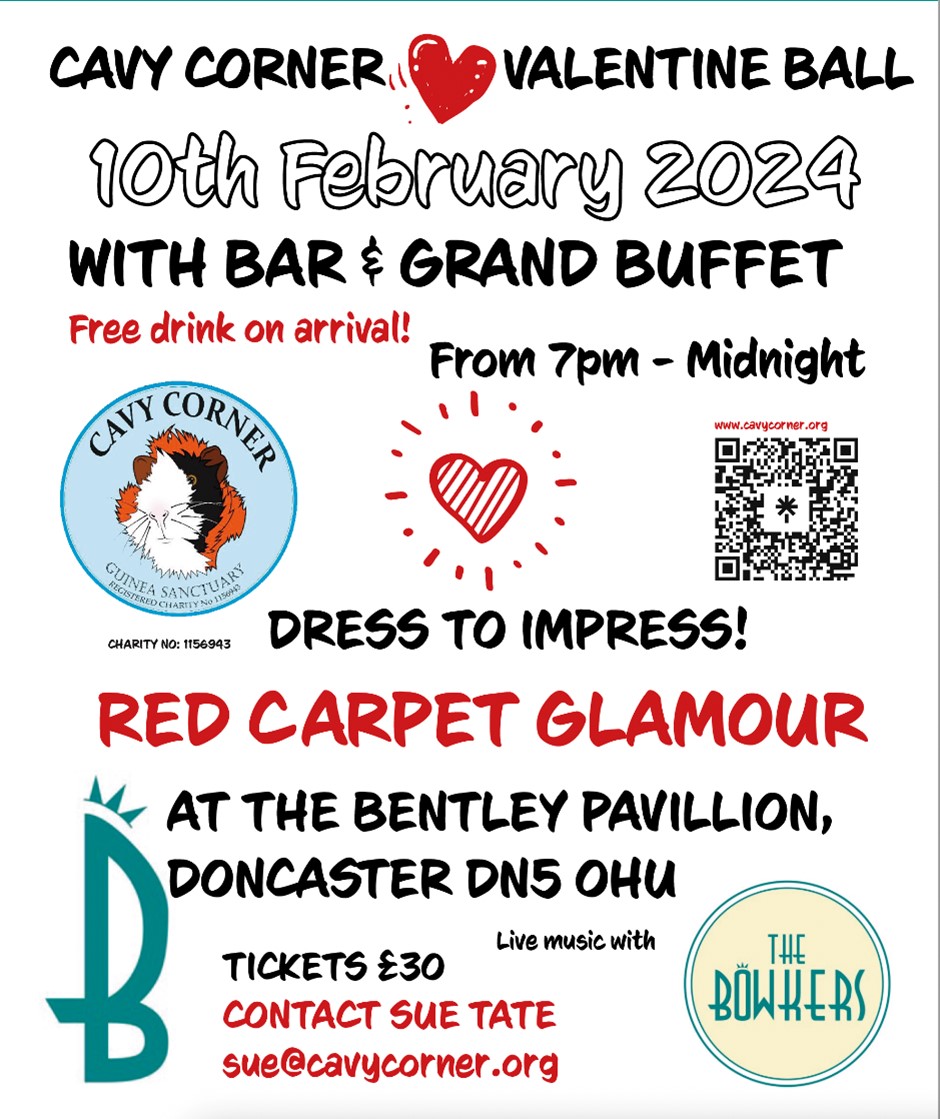 Cavy Corner Valentine’s Ball – Cavy Corner